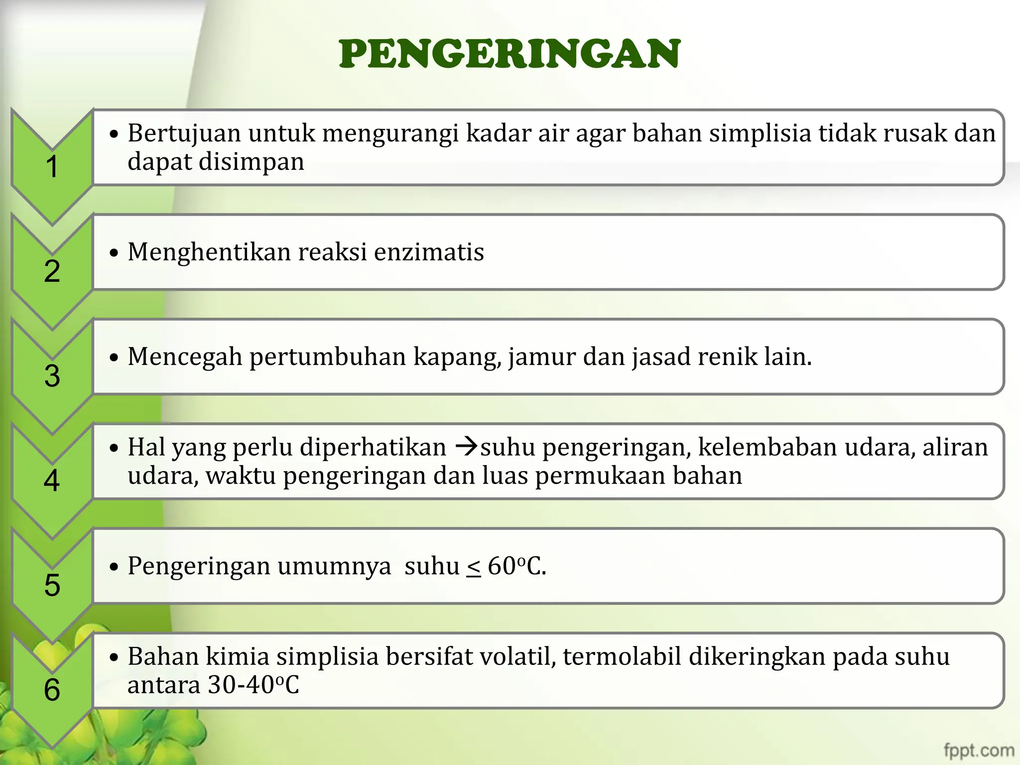 PRINSIP PEMBUATAN SIMPLISIA | PDF