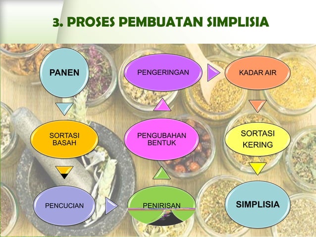 PRINSIP PEMBUATAN SIMPLISIA | PDF