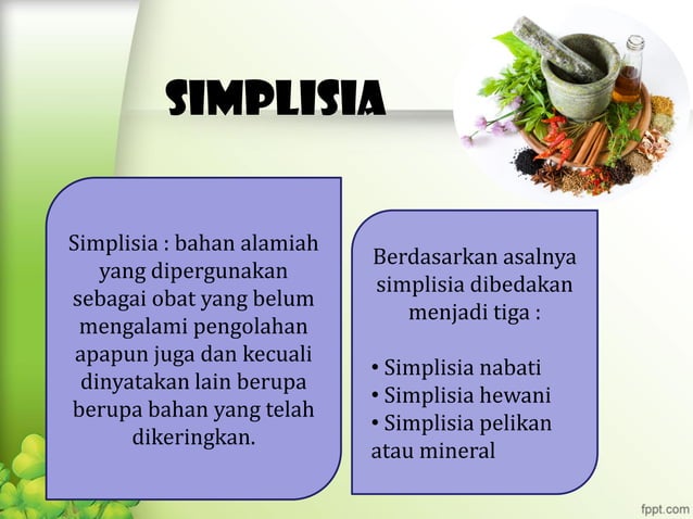 PRINSIP PEMBUATAN SIMPLISIA | PDF