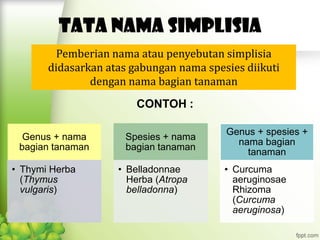 PRINSIP PEMBUATAN SIMPLISIA | PDF
