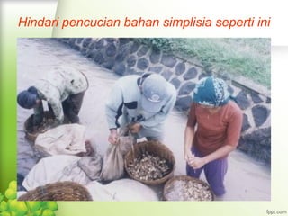 PRINSIP PEMBUATAN SIMPLISIA | PDF