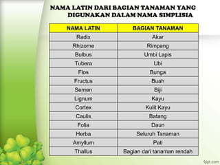 PRINSIP PEMBUATAN SIMPLISIA | PDF
