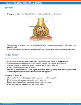 3293Bio X A.pdf