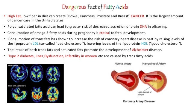 Role of Essential Fatty Acids (EFA) in human nutrition – DR. TRYNAADH
