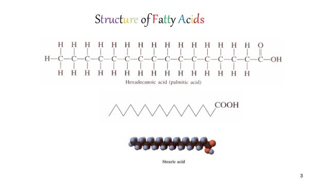 Fatty Acids