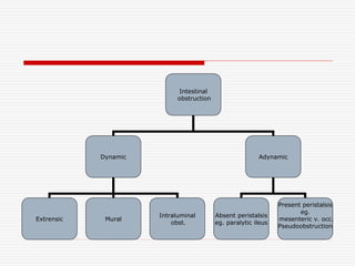 32987_INTESTINAL OBSTRUCTION(pbl)(teaching).ppt