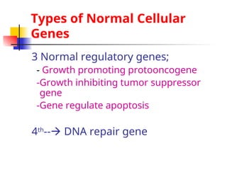 32989_Lecture-2 The Molecular Basis Of Cancer Part-1.ppt