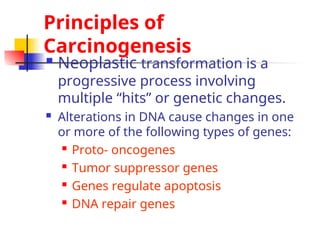 32989_Lecture-2 The Molecular Basis Of Cancer Part-1.ppt