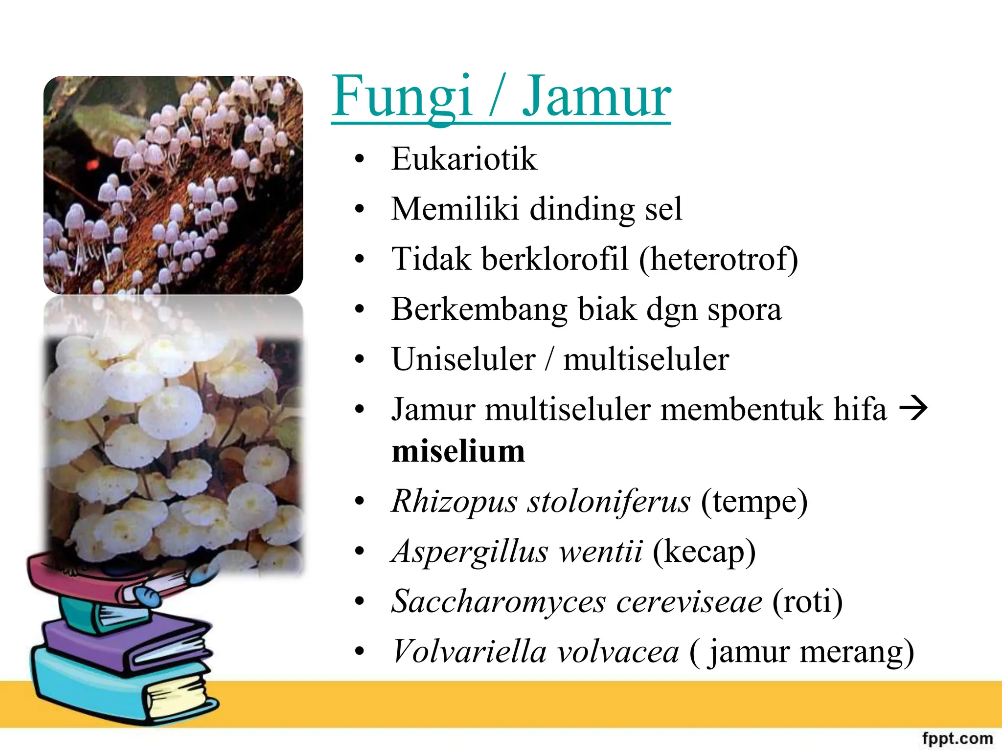 Ppt tentang klasifikasi makhluk hidup kelas 7 | PPT