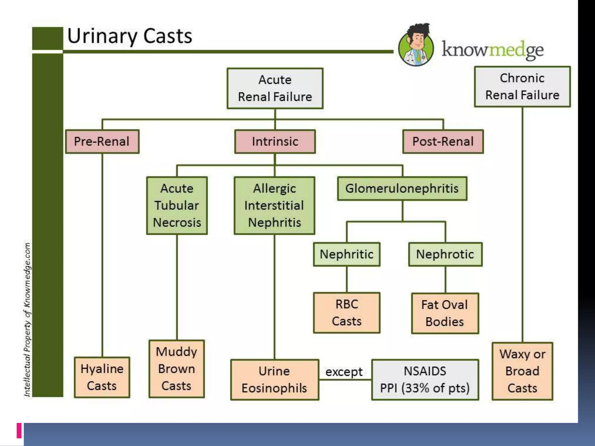 kidney function tests | PPTX