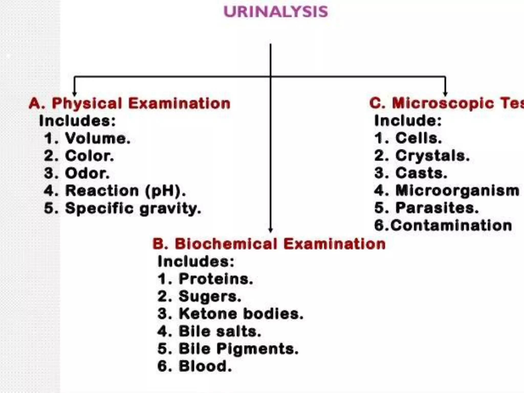 kidney function tests | PPTX