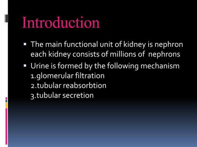 kidney function tests | PPTX | Blood Disorders | Diseases and Conditions