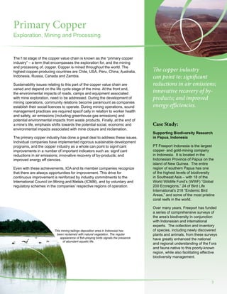 Copper Stewardship brochure | PDF
