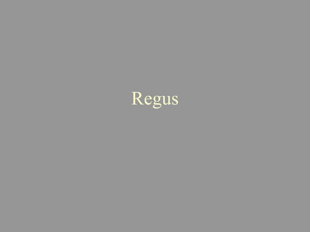 REGUS NETWORK | PPT