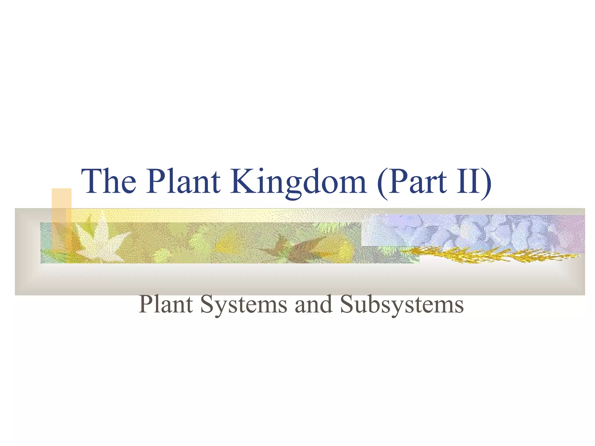 32 biology 3 11 08 10c plant systems subsystems 2 | PPT | Gardening ...