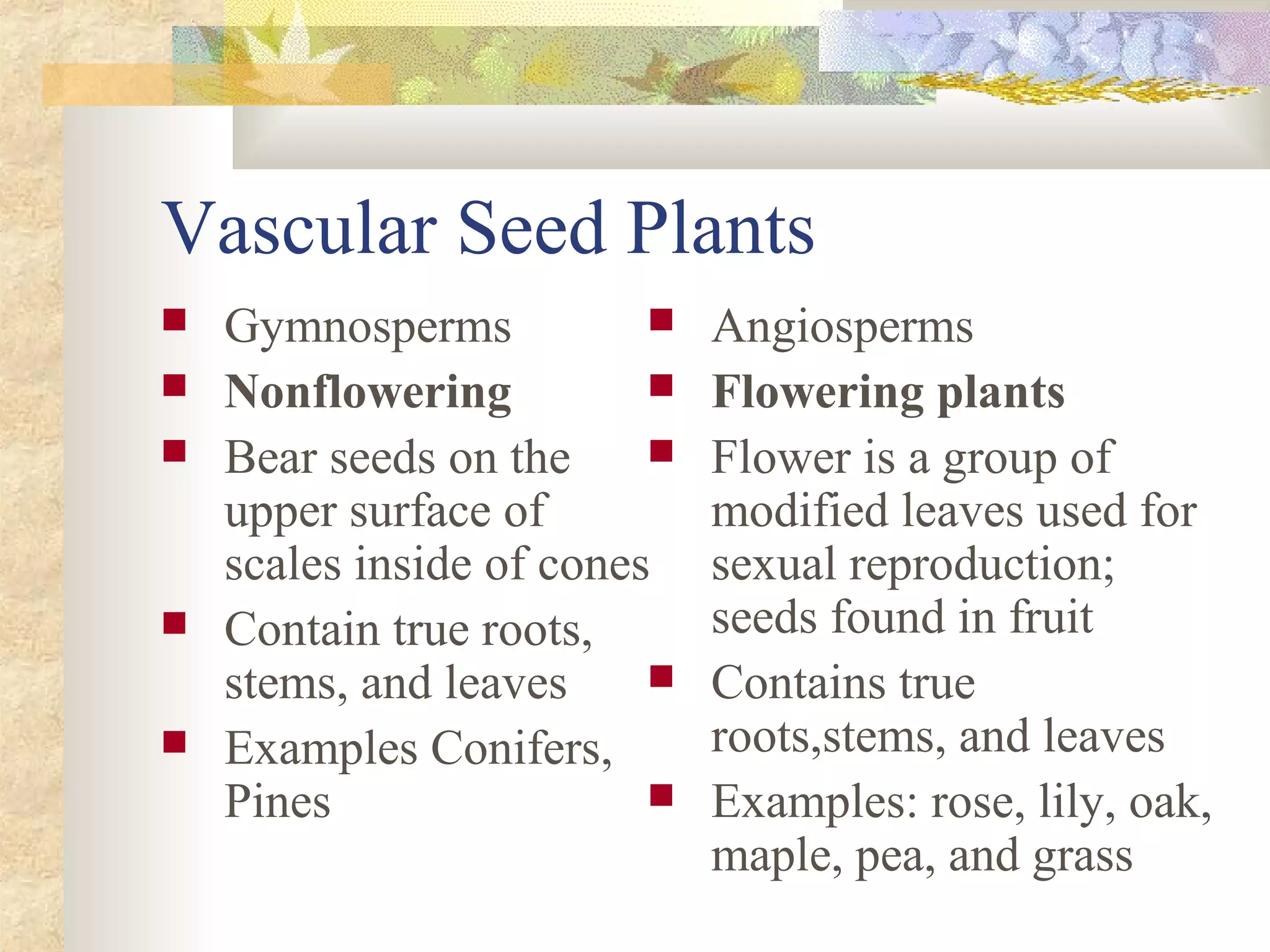 32 biology 3 11 08 10c plant systems subsystems 2 | PPT