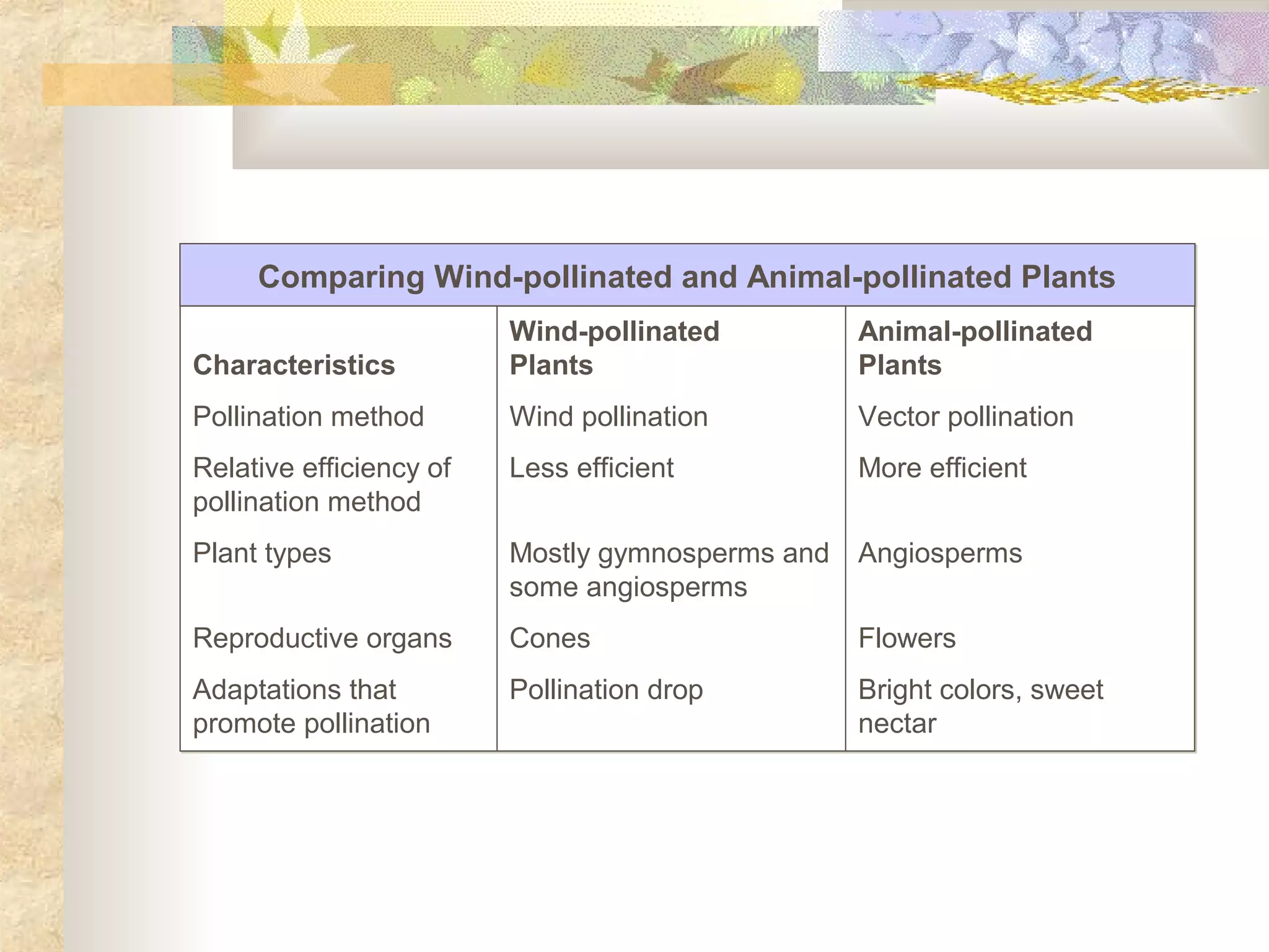 32 biology 3 11 08 10c plant systems subsystems 2 | PPT