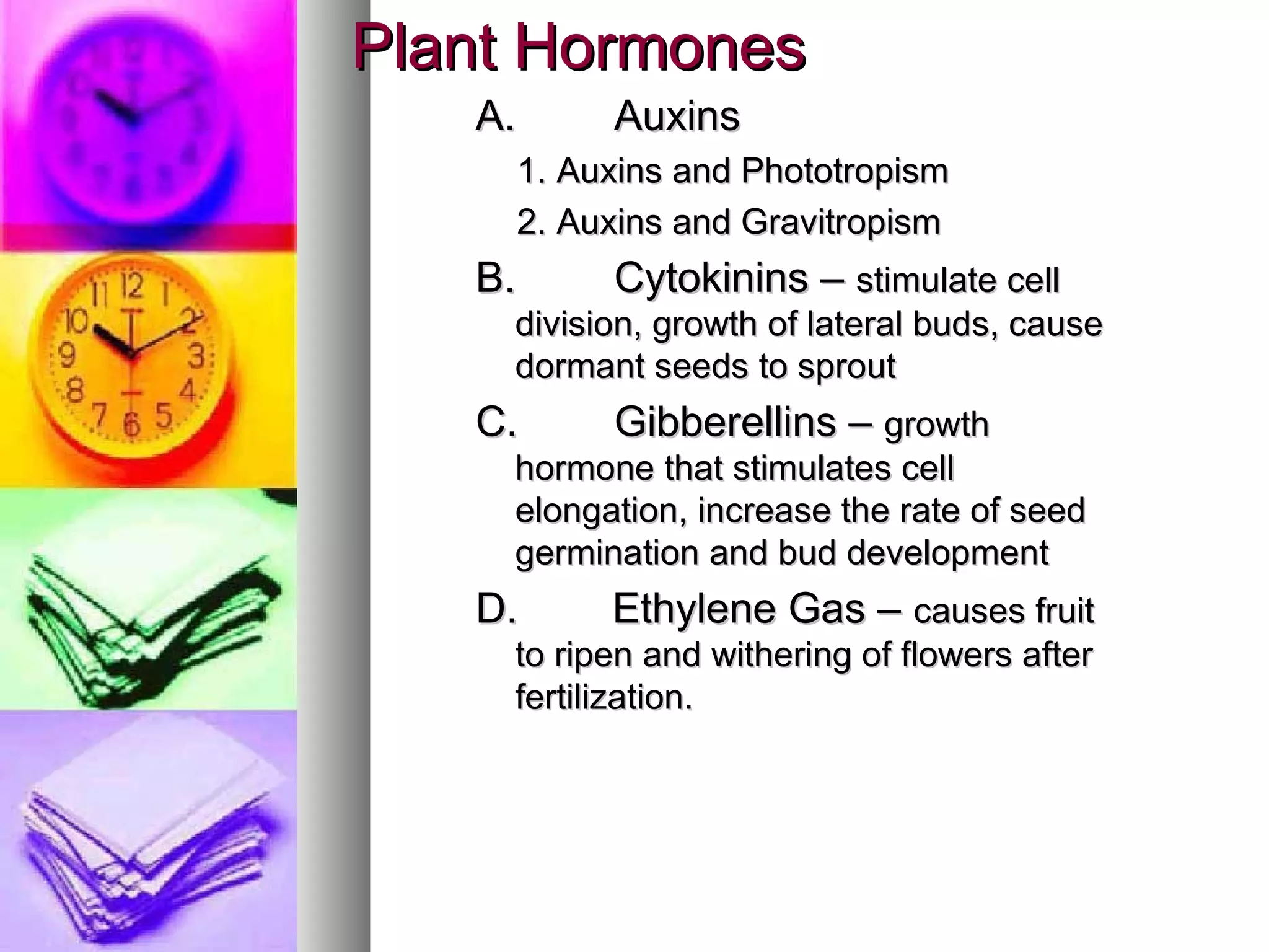 32 biology 3 11 08 10c plant systems subsystems 2 | PPT | Gardening ...