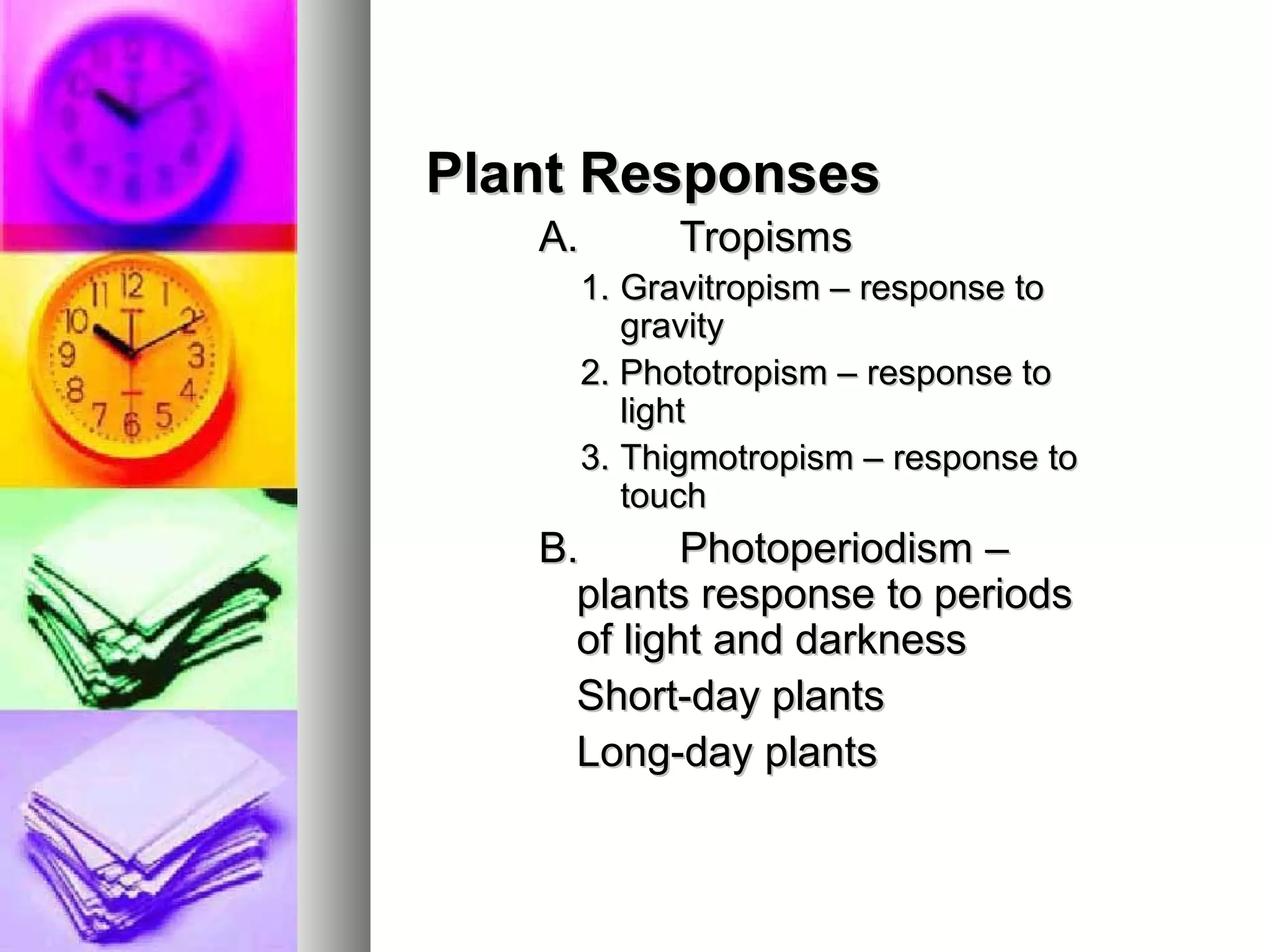 32 biology 3 11 08 10c plant systems subsystems 2 | PPT | Gardening ...