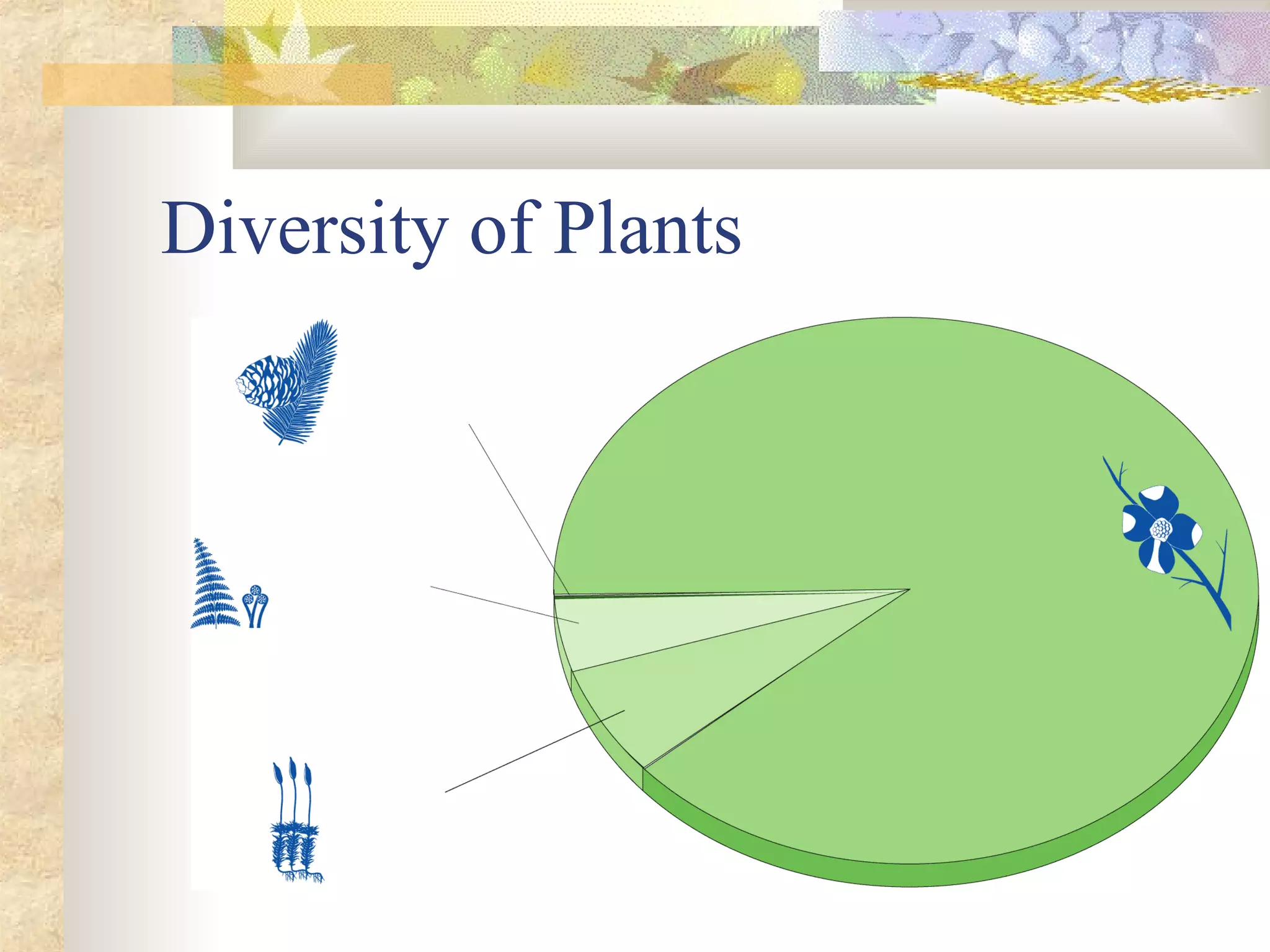 32 biology 3 11 08 10c plant systems subsystems 2 | PPT | Gardening ...