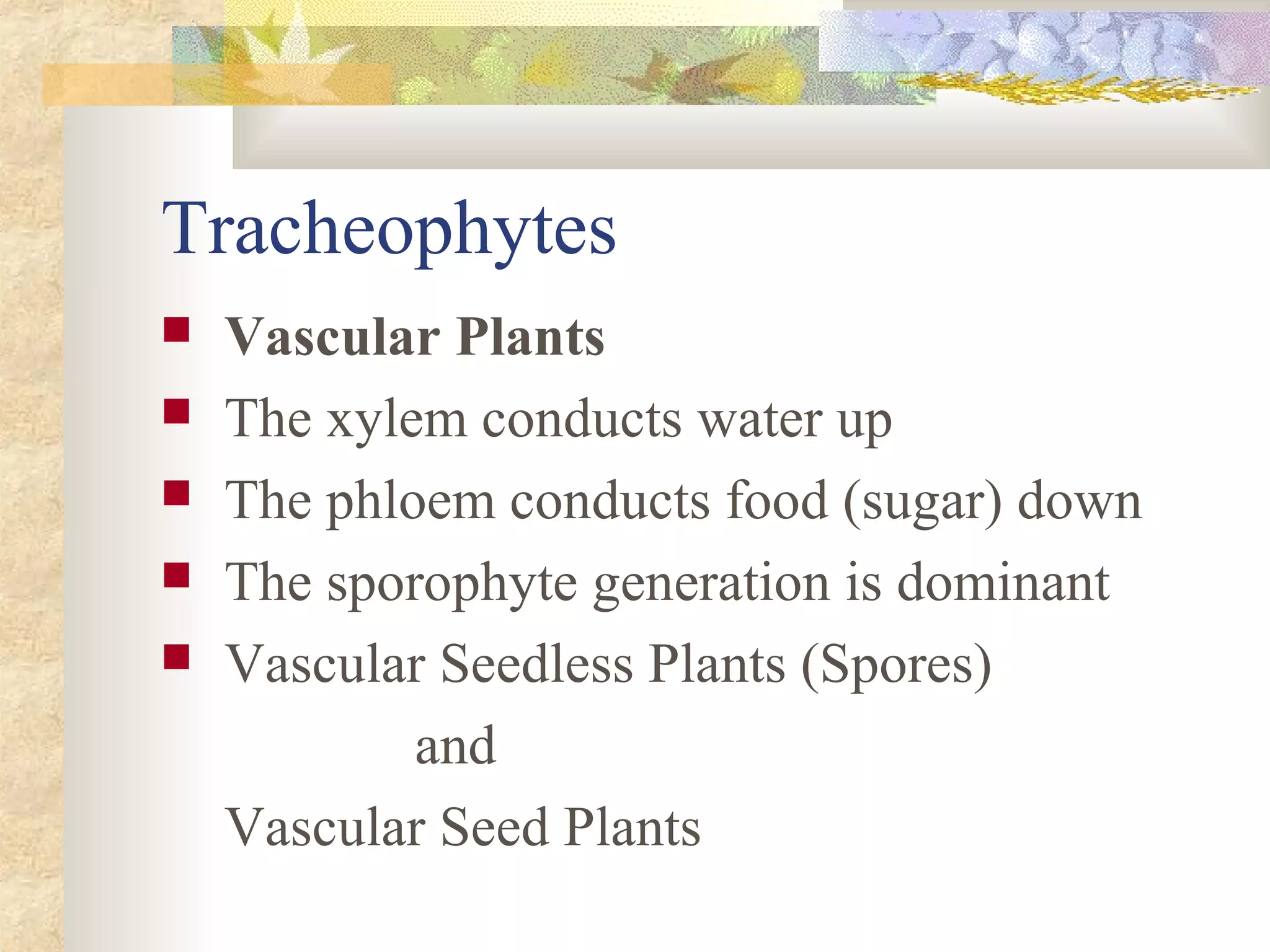32 biology 3 11 08 10c plant systems subsystems 2 | PPT