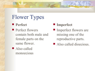 32 biology 3 11 08 10c plant systems subsystems 2 | PPT | Gardening ...