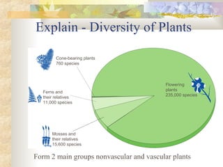 32 biology 3 11 08 10c plant systems subsystems 2 | PPT | Gardening ...