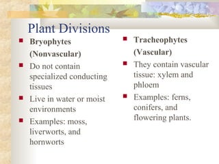 32 biology 3 11 08 10c plant systems subsystems 2 | PPT