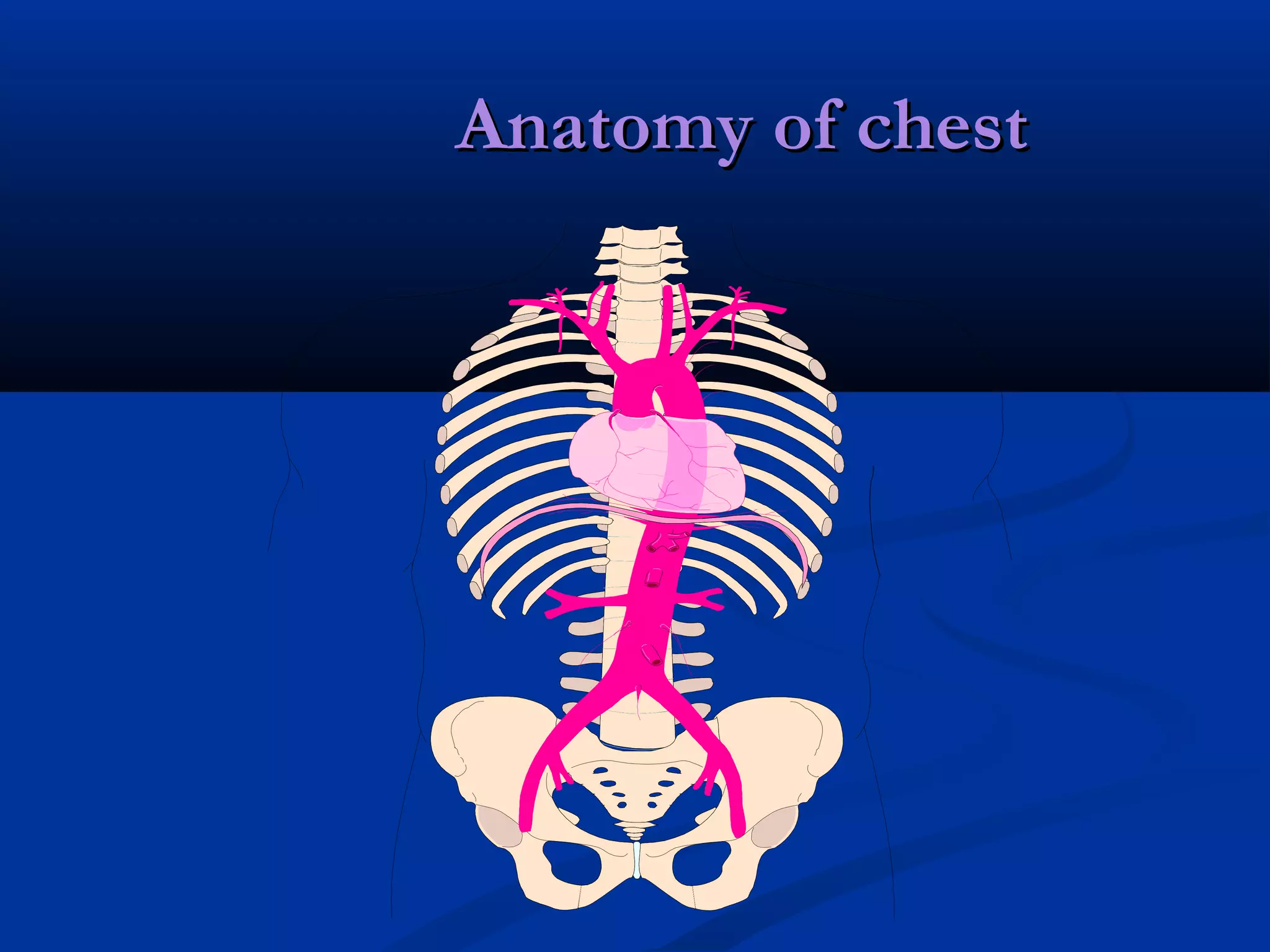 chest trauma management | PPT