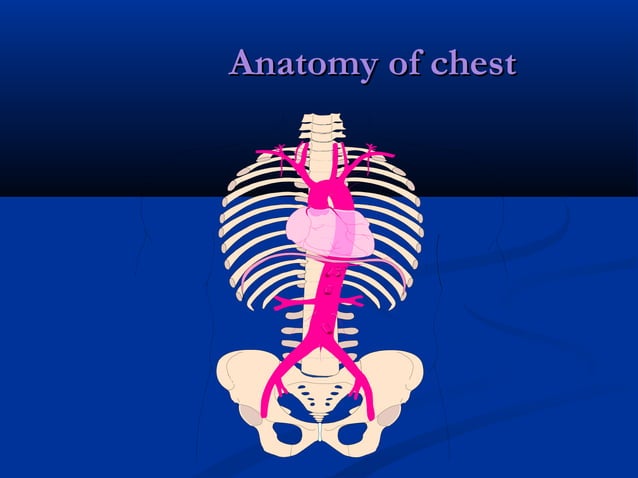 chest trauma management | PPT