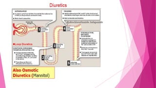 PPT ON DIURETICS DRUG USES AND PROPERTIES.pdf