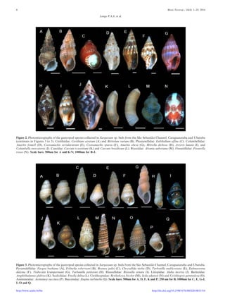 Longo et al. 2014 | PDF