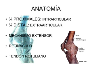 32 FRACTURAS DE ROTULA (2).ppsx