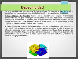 3.2 propiedades de la proteina | ODP