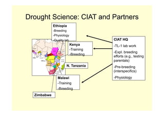 32 Steve Beebe Objective4 Work Plan | PDF | Africa Travel | Travel ...