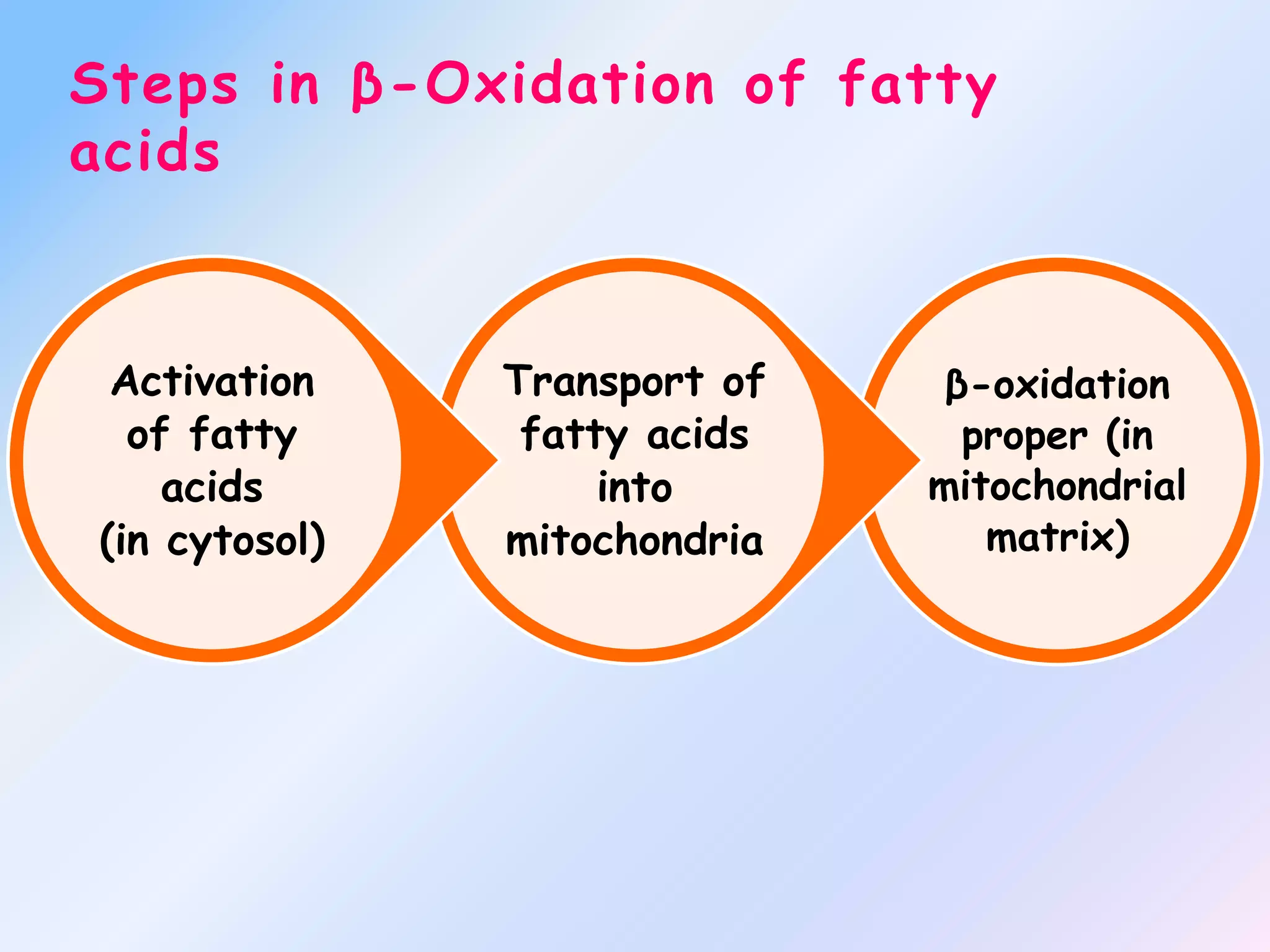 Oxidation of fatty acids | PPSX