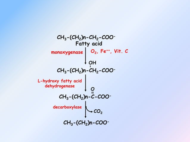 Oxidation of fatty acids | PPSX