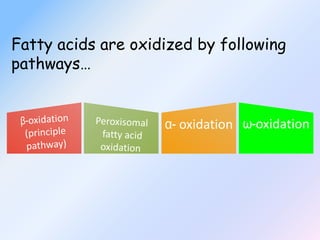 Oxidation of fatty acids | PPSX