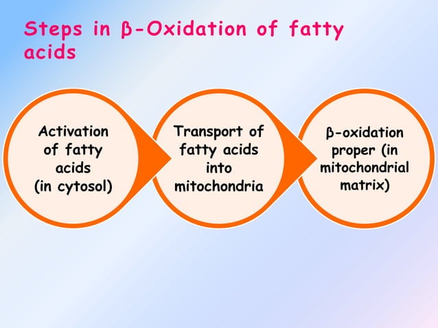 Oxidation of fatty acids | PPSX