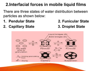 Granulation and Modern Equipments | PPTX
