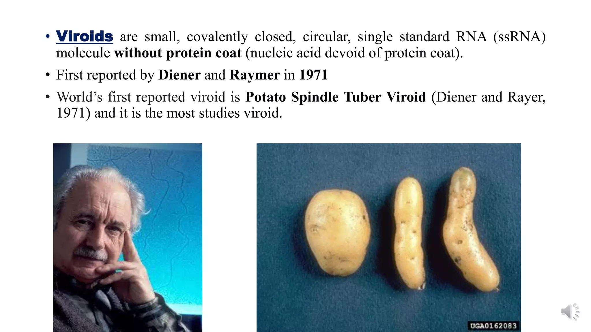 Viroid and virusoid | PDF | Biological Sciences | Science