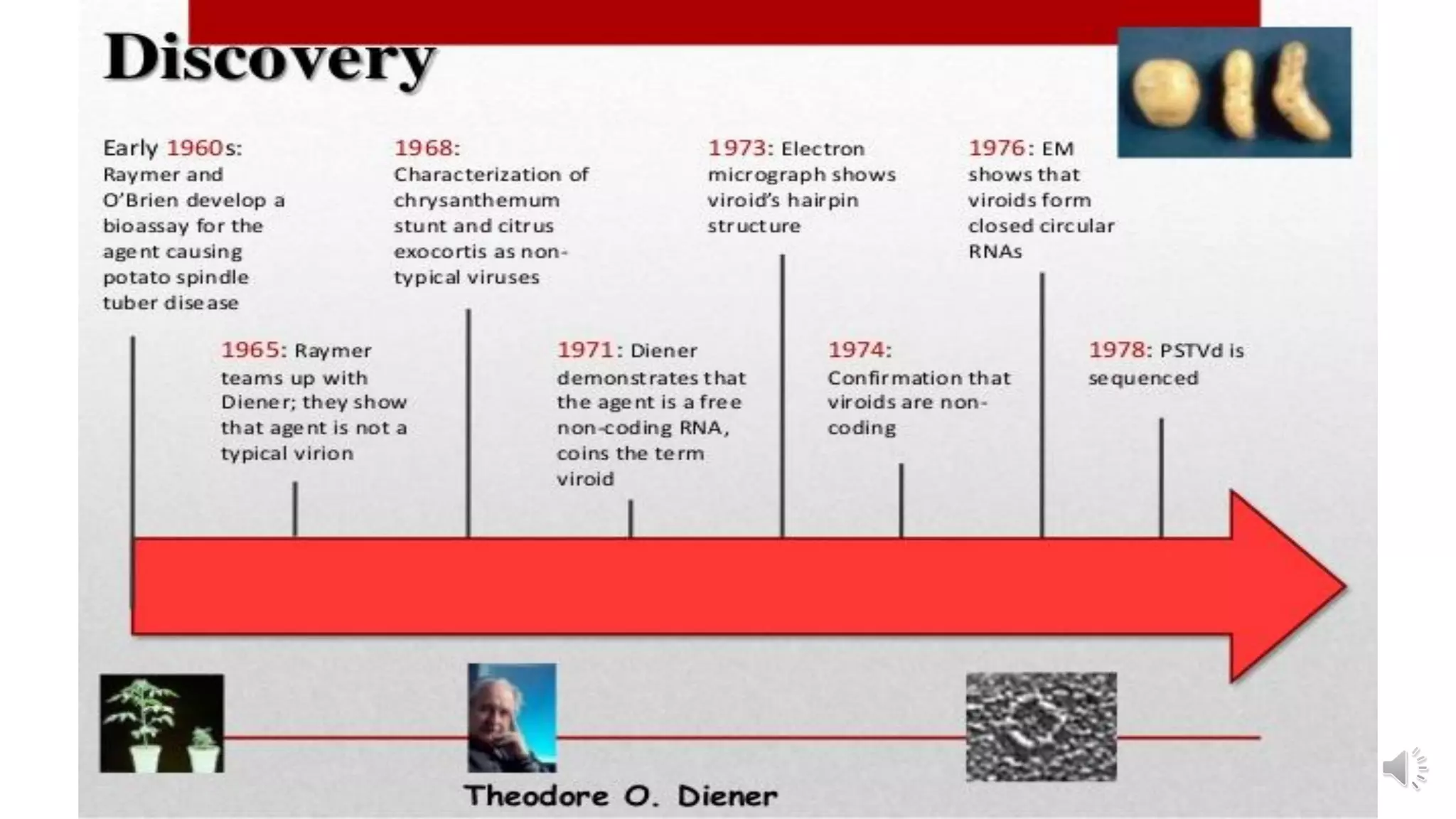 Viroid and virusoid | PDF