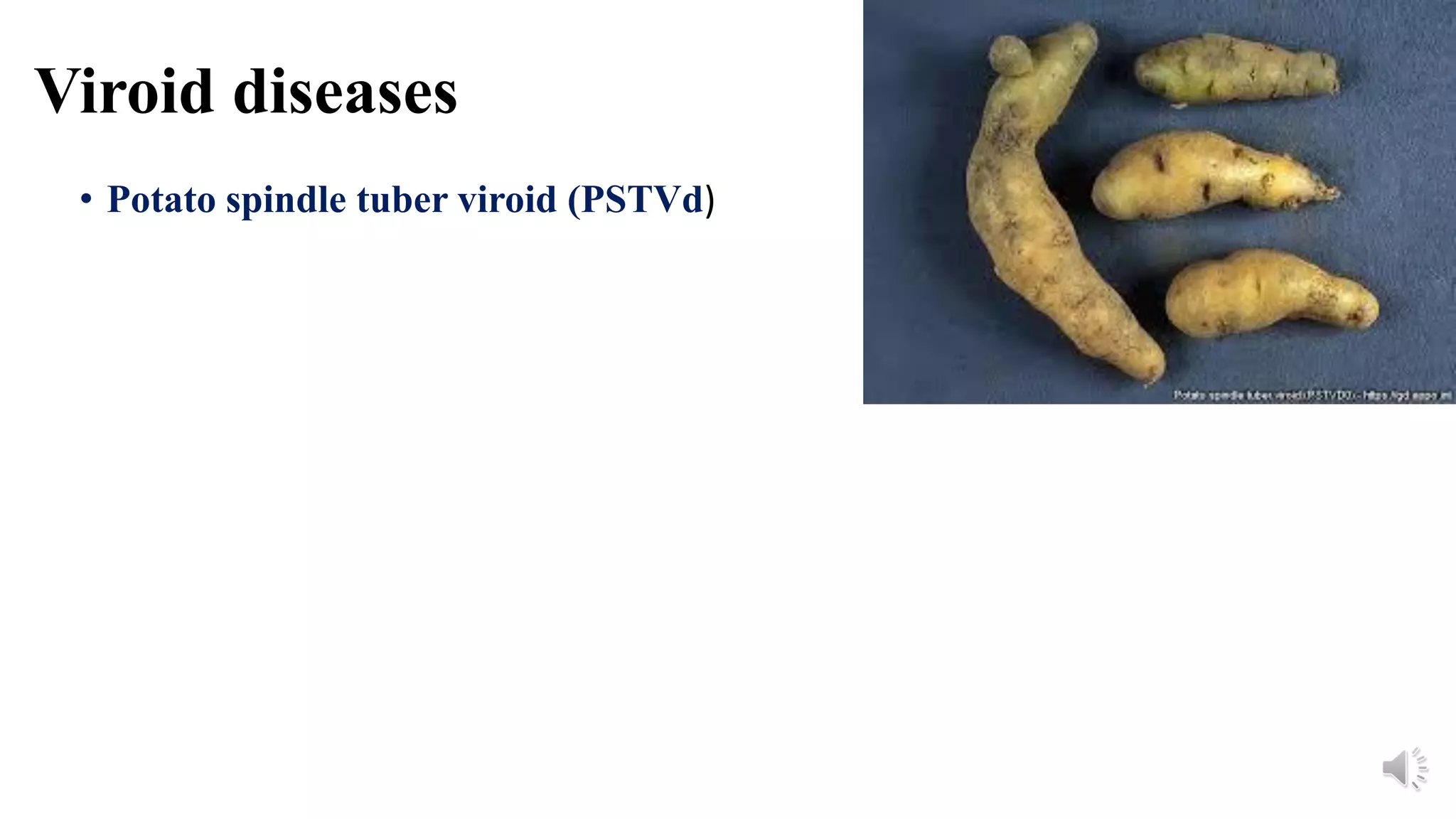 Viroid and virusoid | PDF