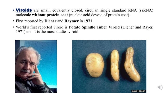 Viroid and virusoid | PDF | Biological Sciences | Science