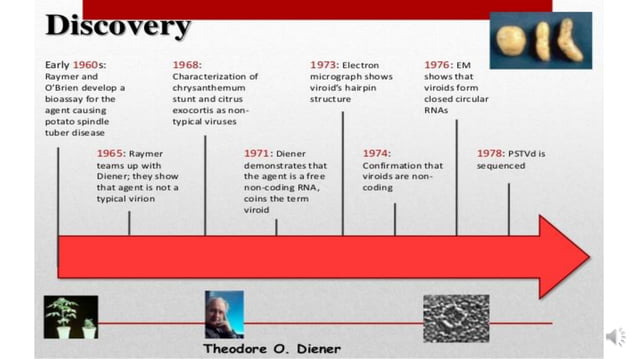 Viroid and virusoid | PDF | Biological Sciences | Science