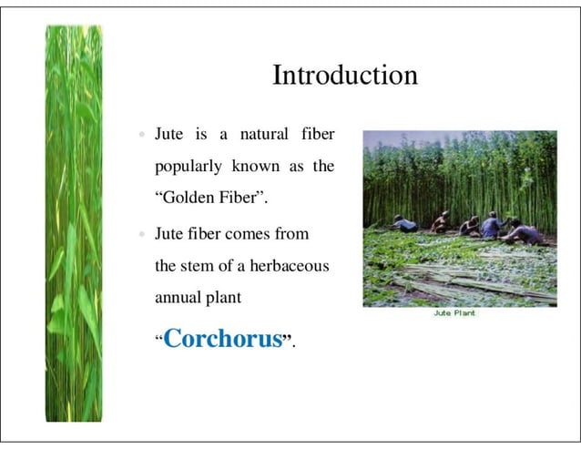 33. Jute.pdf | Gardening | Home & Garden