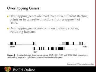 genome organization described in a lucid fashion | PPT