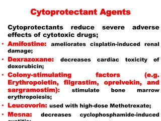 33- ANTICANCER.pptx pharmacology for students | PPT