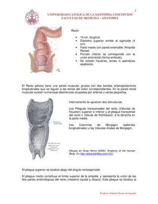 33. documento recto | PDF