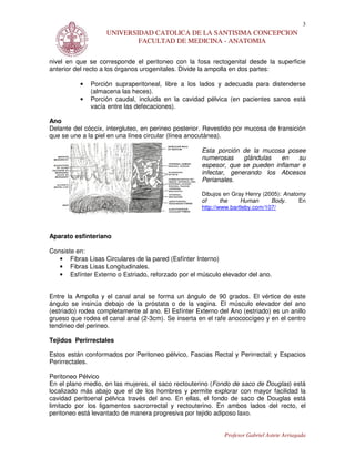 33. documento recto | PDF